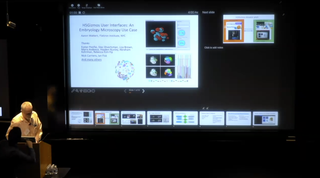 [Vis] H5Gizmos: A web-based infrastructure for special purpose interactive visualizations